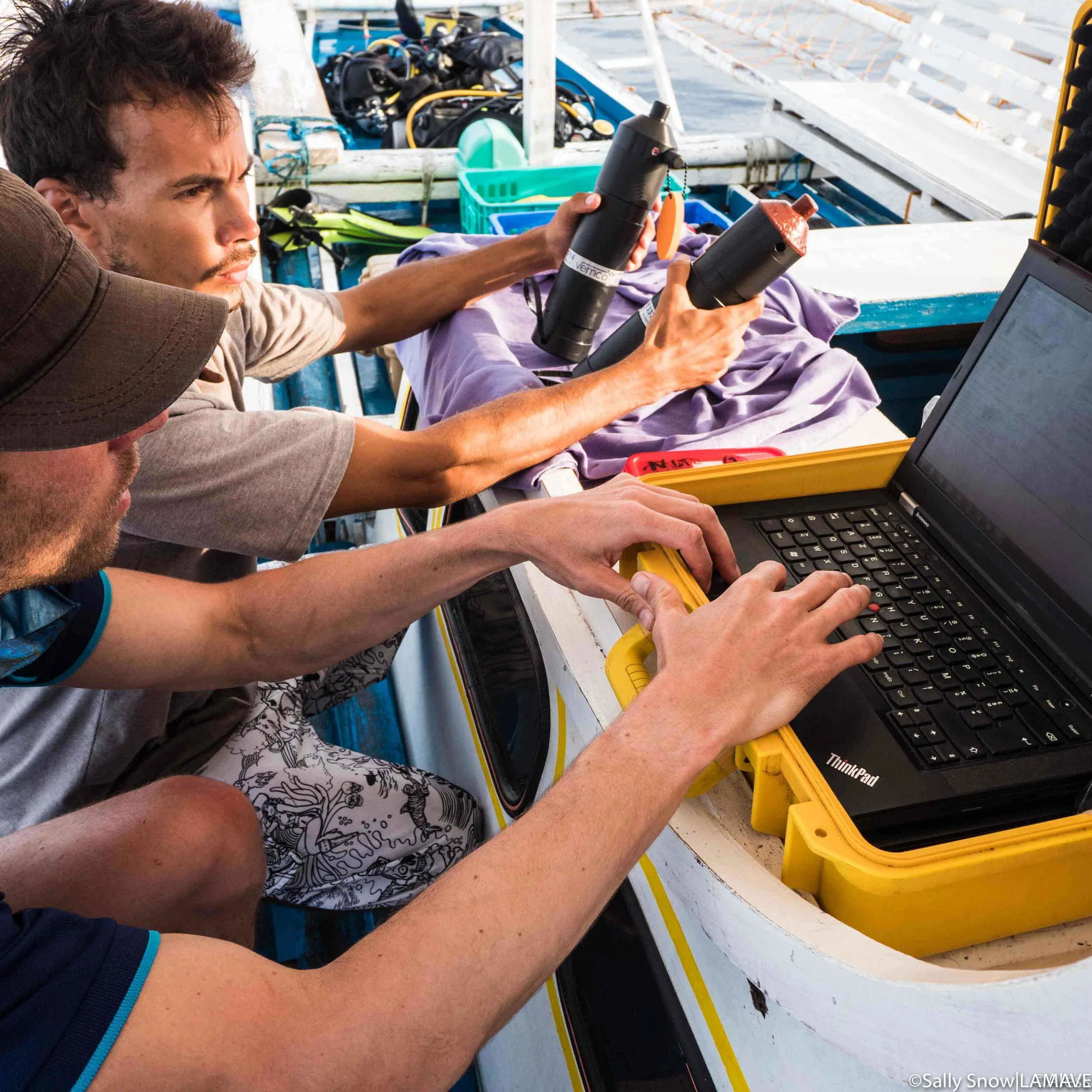 Shark research and conservation in the Philippines — Large Marine ...