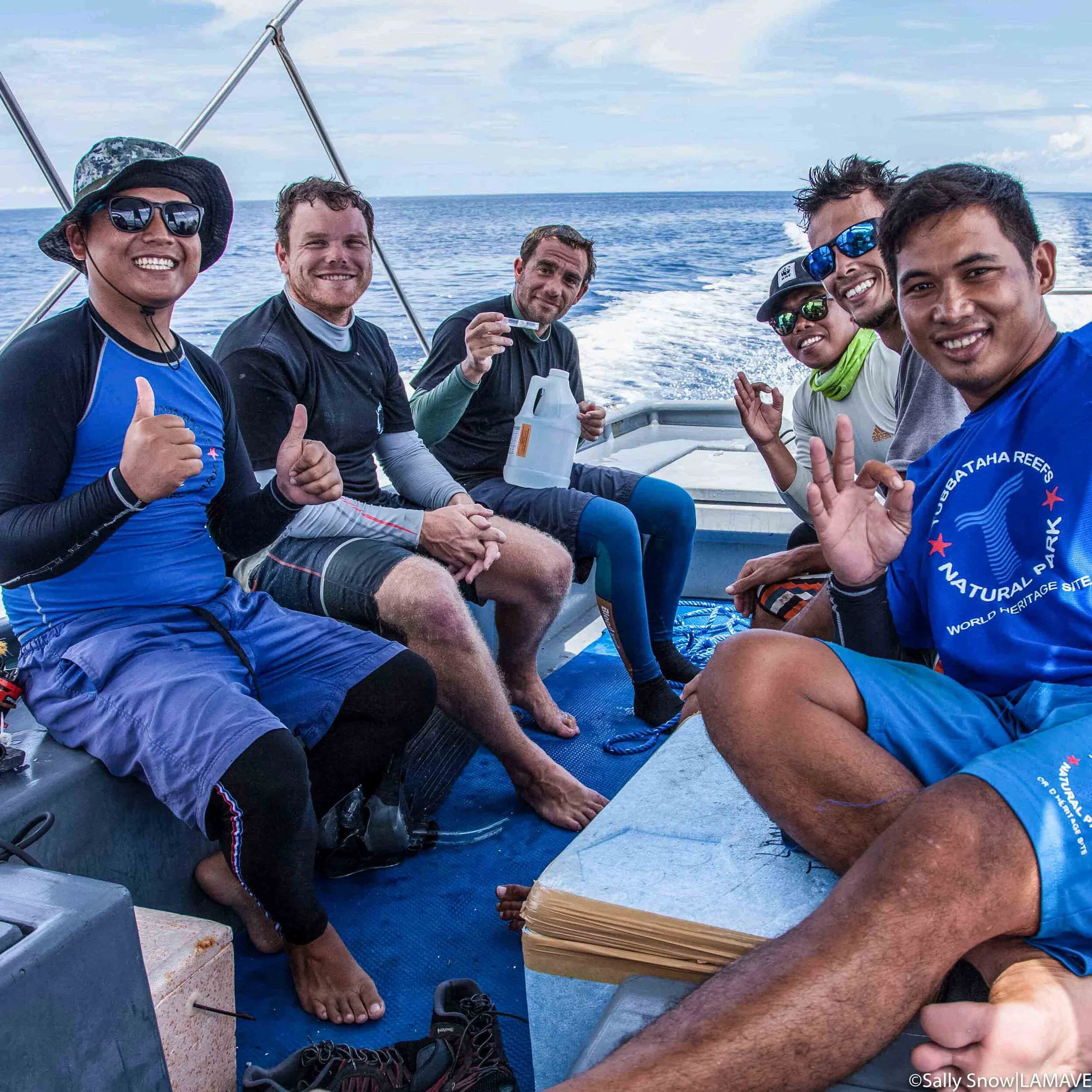 Shark research and conservation in the Philippines — Large Marine ...
