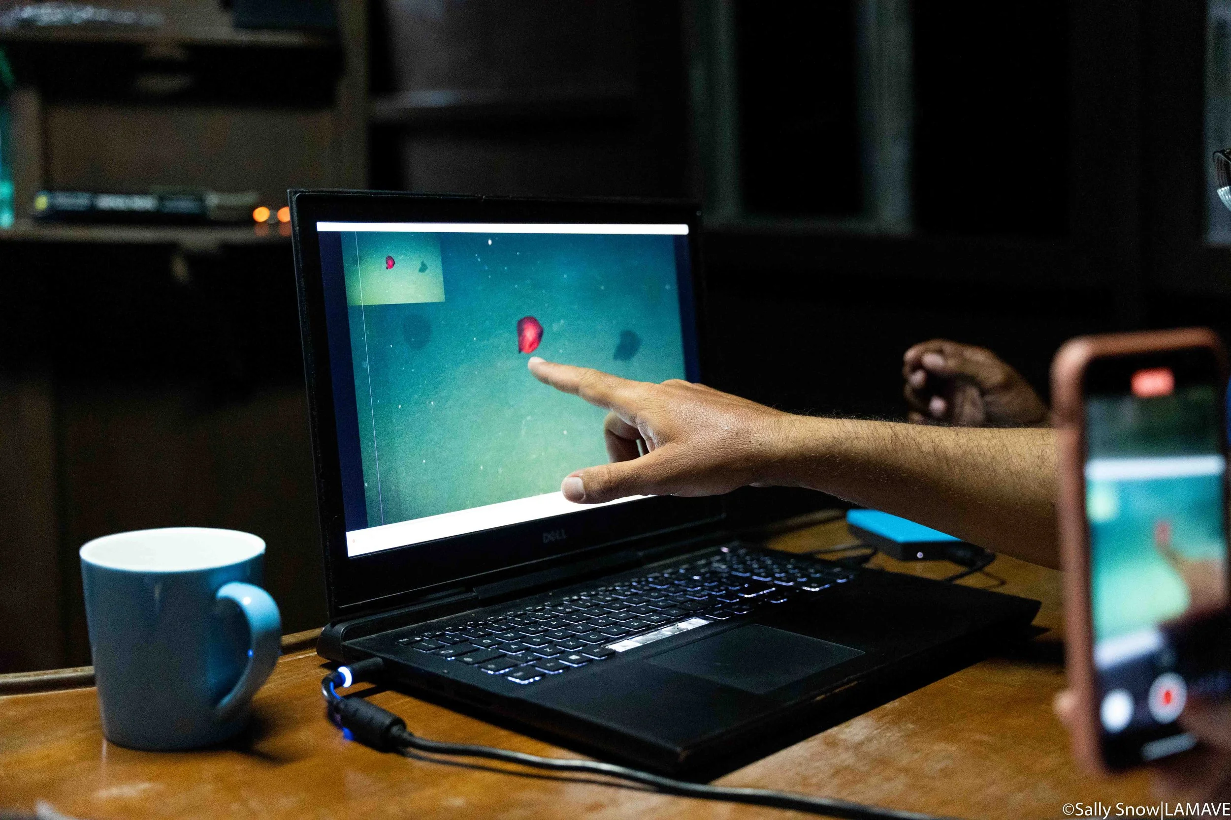 Deep Sea Research Projects in the Philippines — Large Marine ...