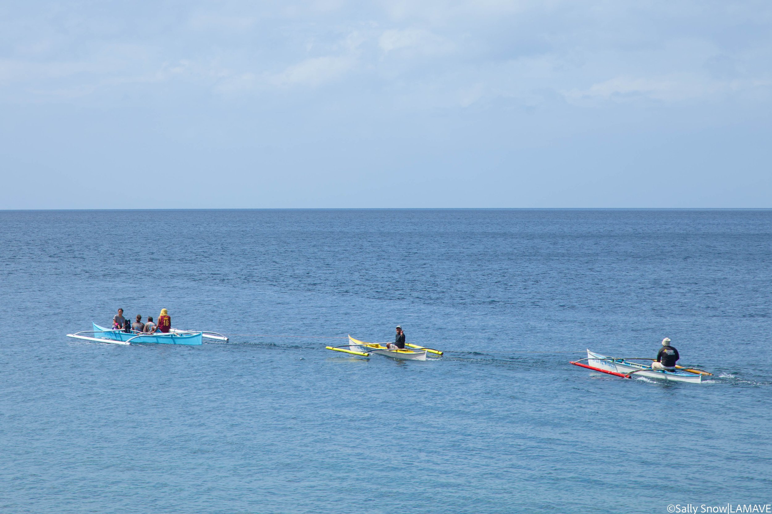 Two Brothers, One Mission: Protecting Whale Sharks in the Philippines ...