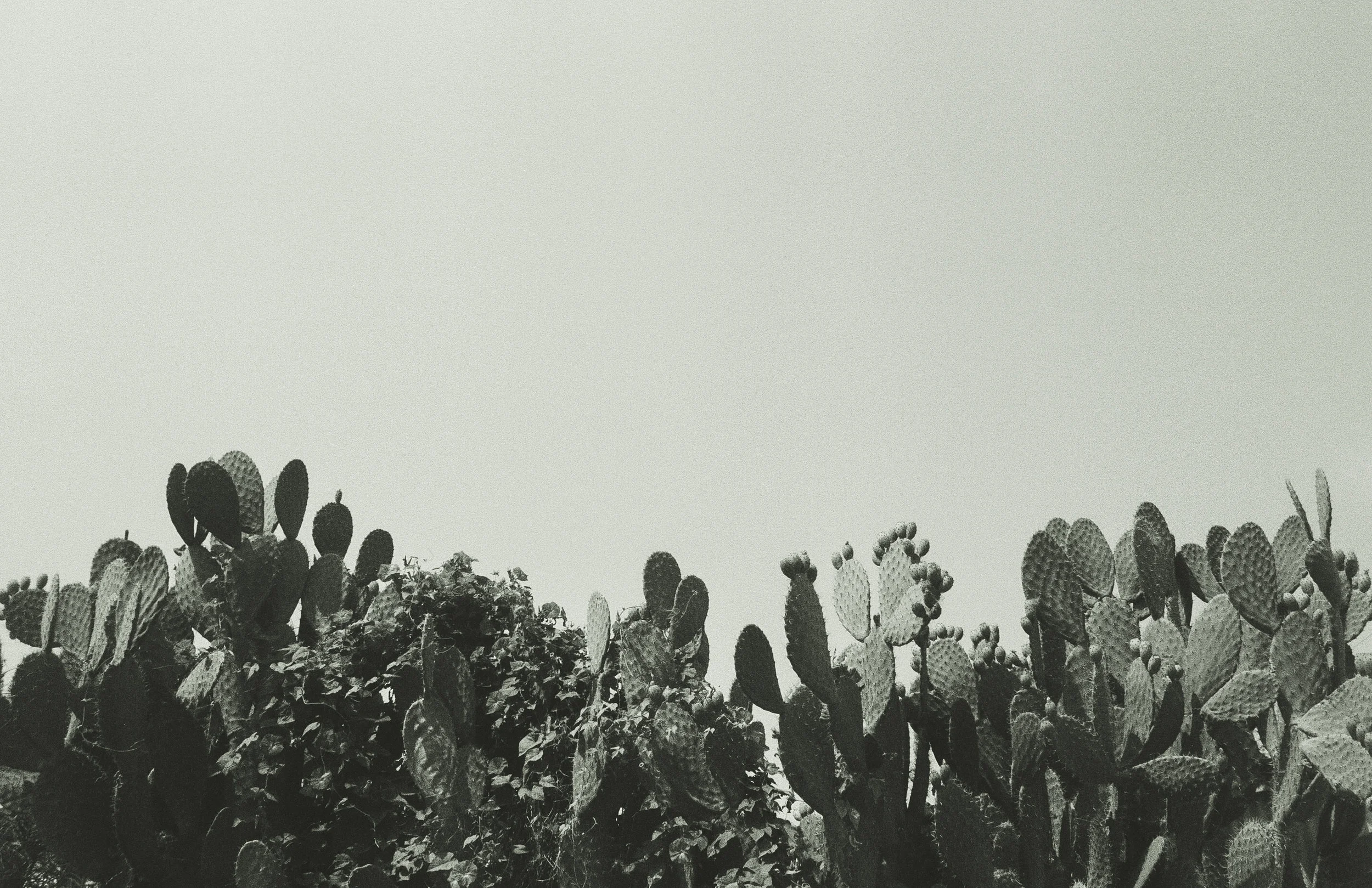 Amanda Bellamy Photo