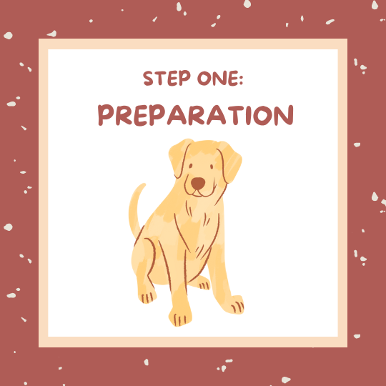 Adopt | Oasis Second Chance Animal Shelter