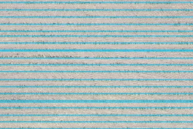 5 tutorials for crop detection and vegetation delineation with Python ...