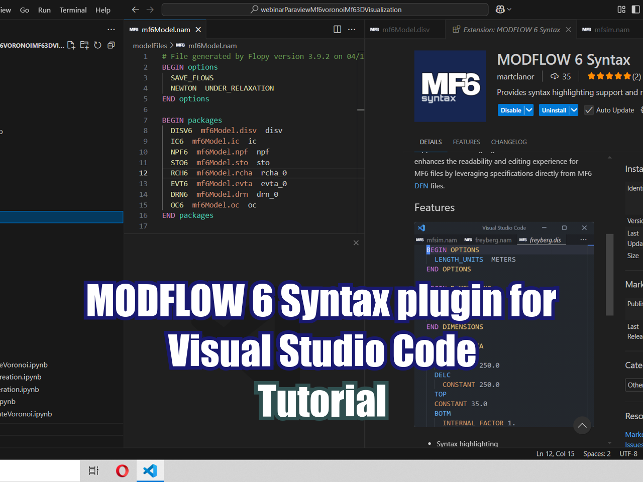 MODFLOW 6 Syntax plugin for Visual Studio Code - Tutorial — Hatari Labs