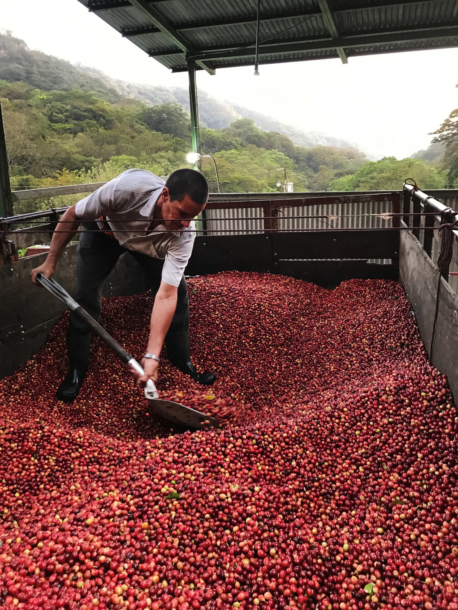 Who We Are — Texas Coffee Traders