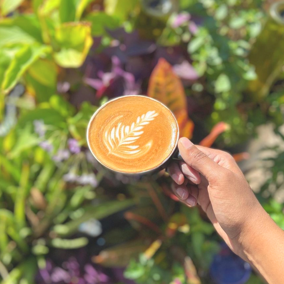 Texas Coffee Traders