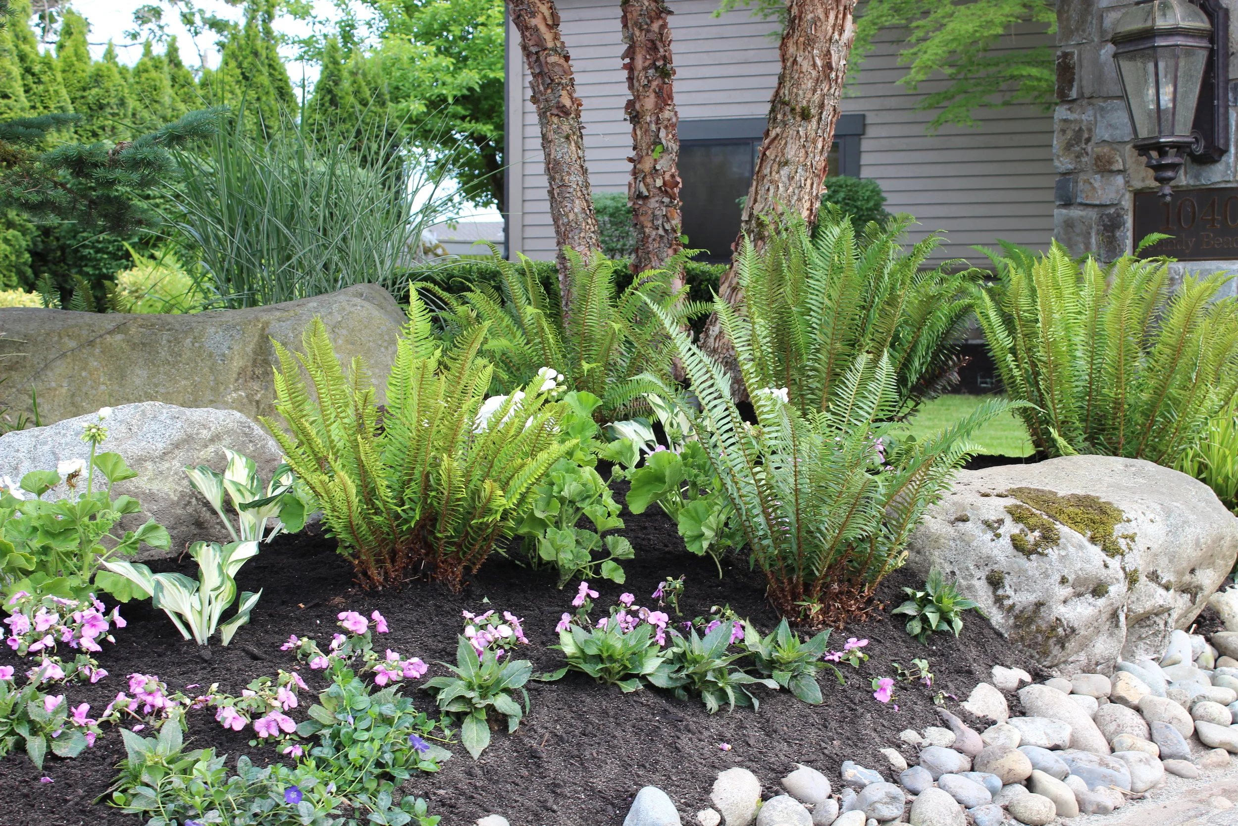 Refuge Landscape Design