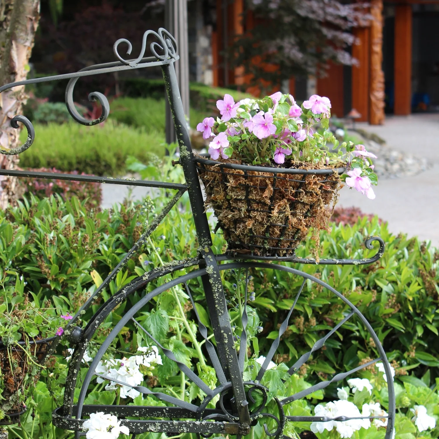 Refuge Landscape Design