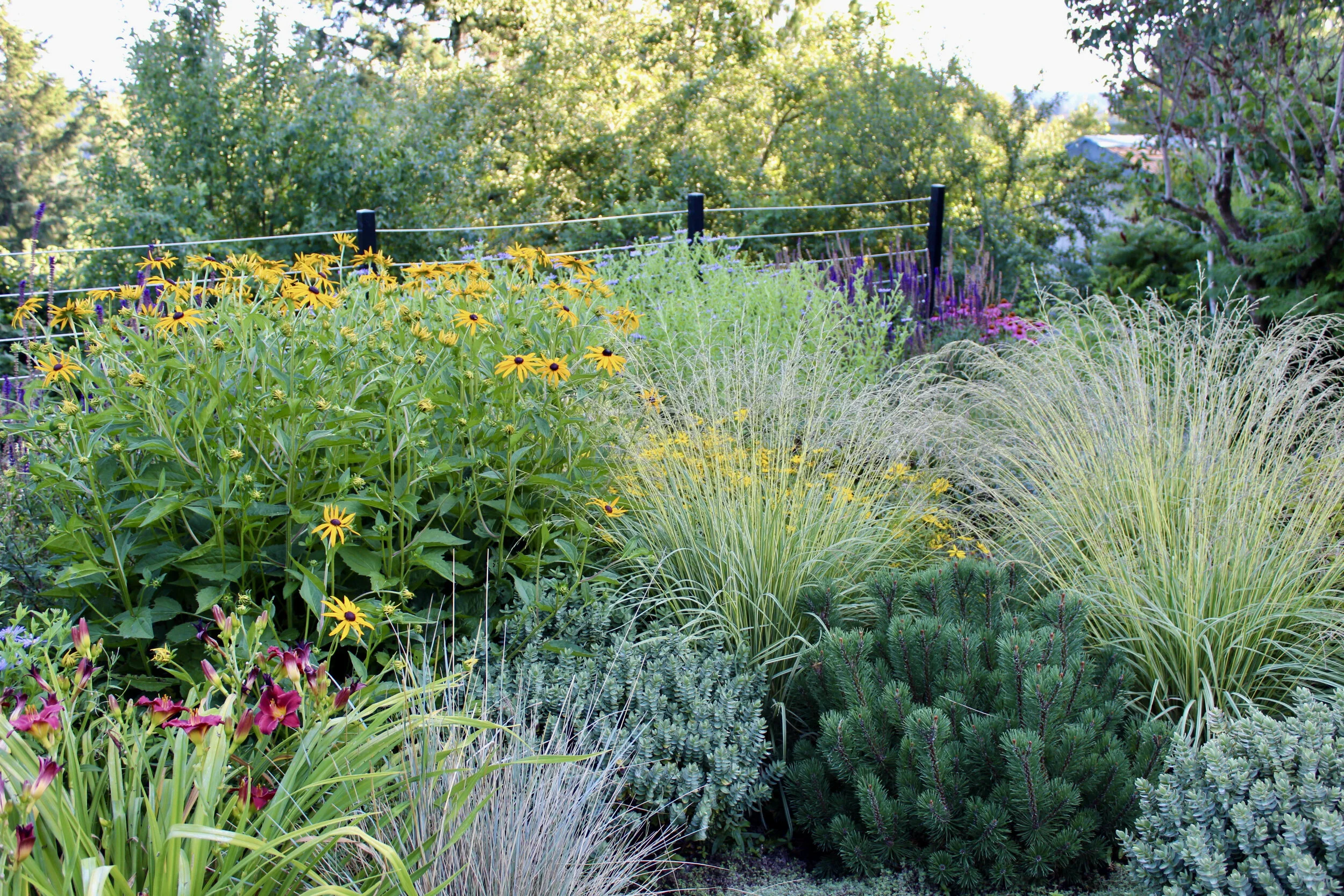 Refuge Landscape Design