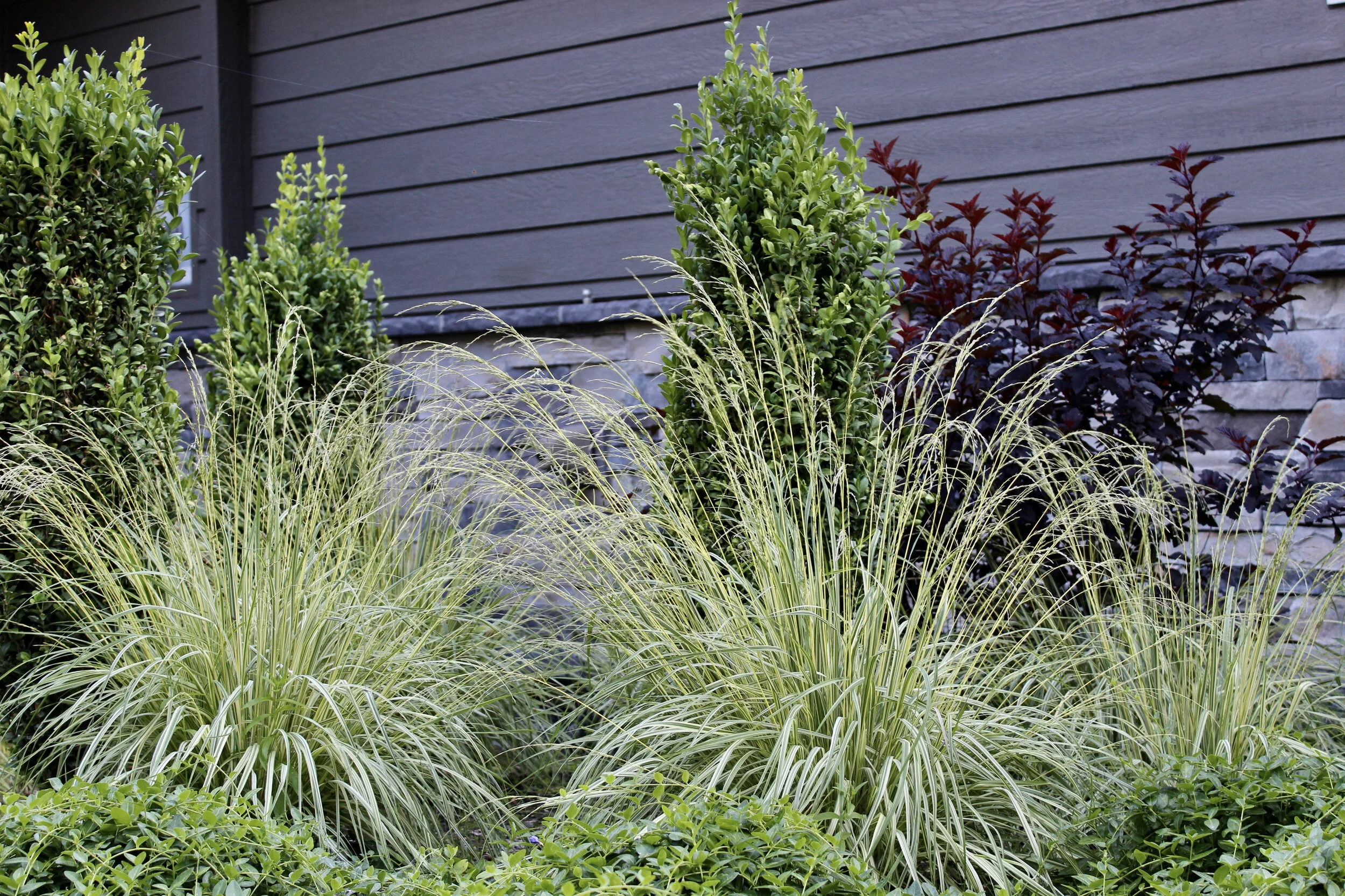 Refuge Landscape Design