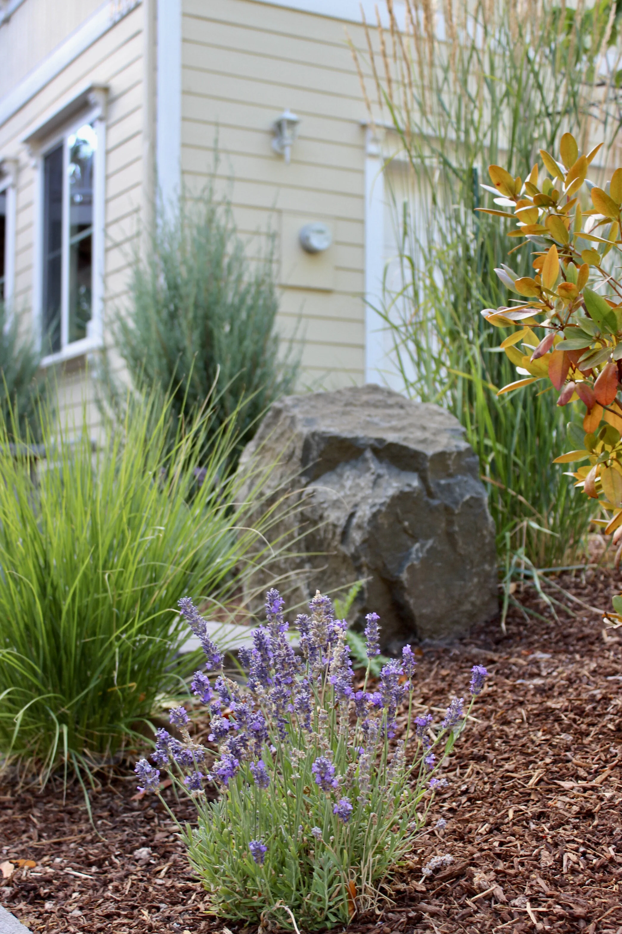 Refuge Landscape Design