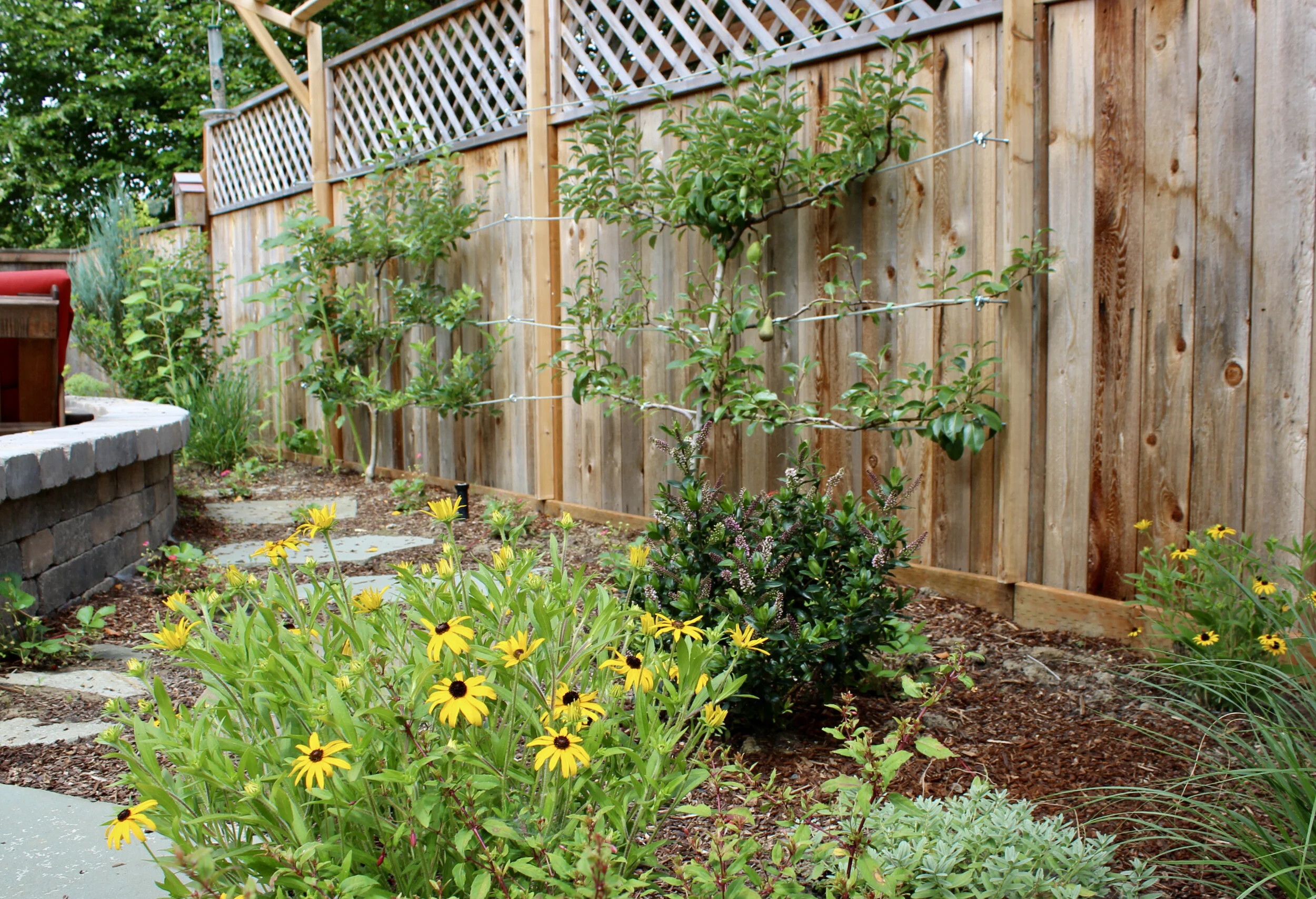 Refuge Landscape Design