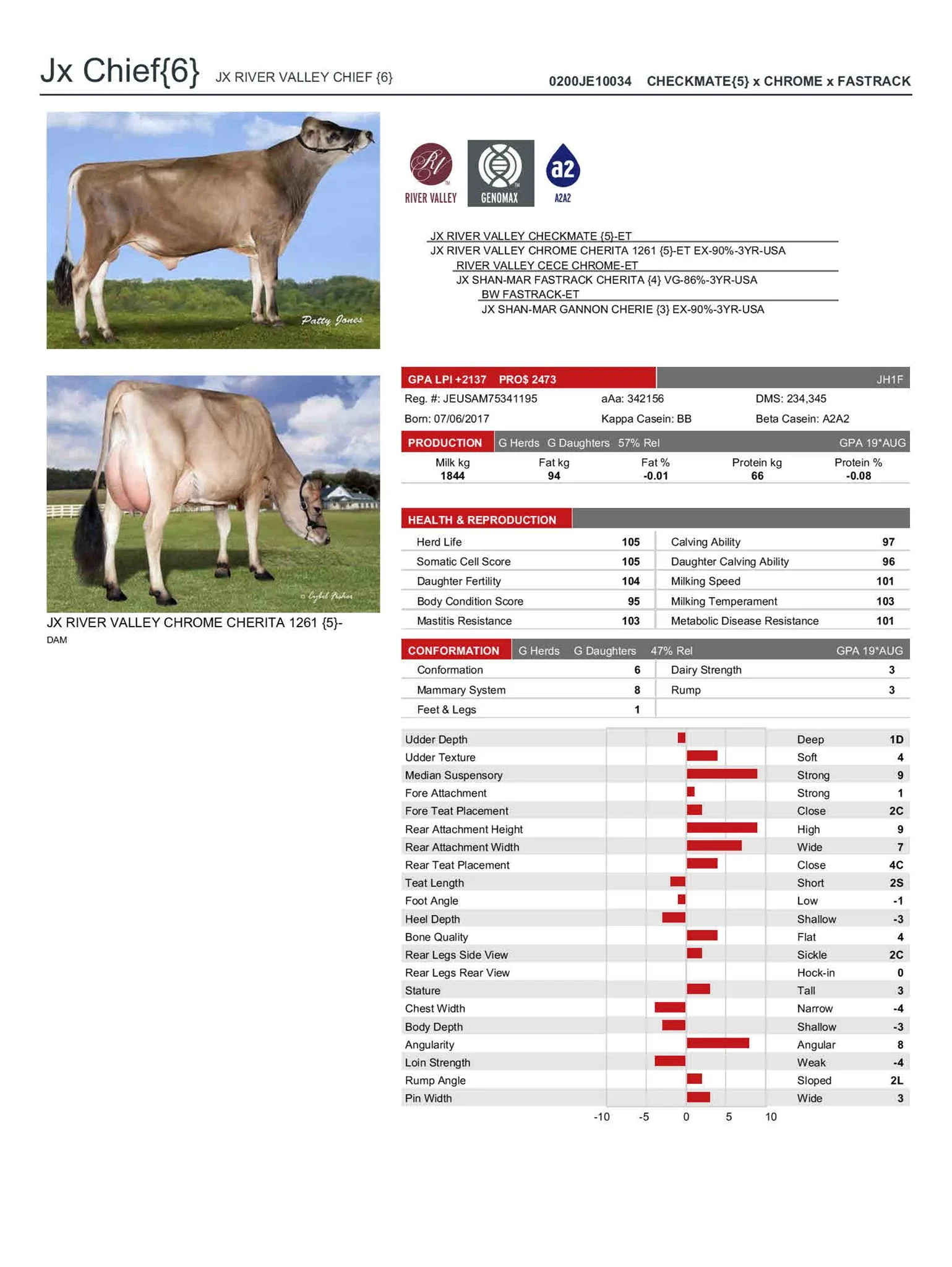 Jx River Valley Chief {6}-ET — Nova Scotia Animal Breeders Co-op