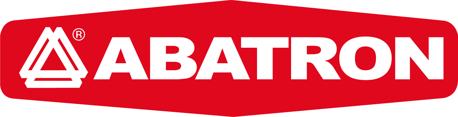 Partners — Ceolin and Associates Inc.