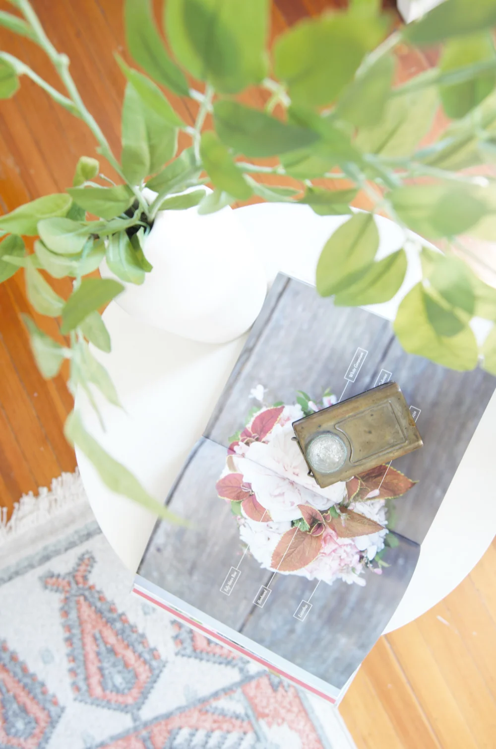 studio maxwell desgin