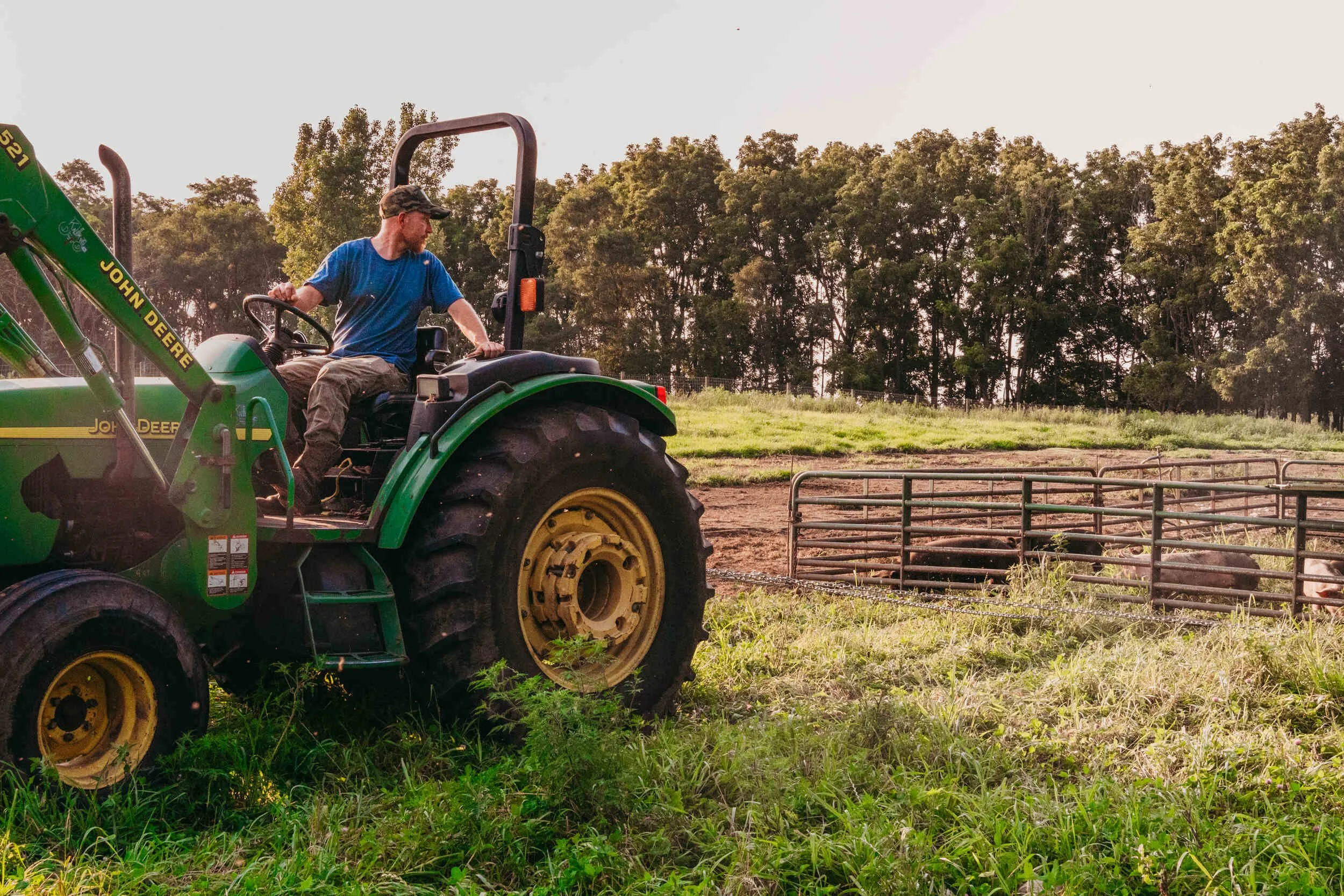 Pasture-raised Meat & Eggs