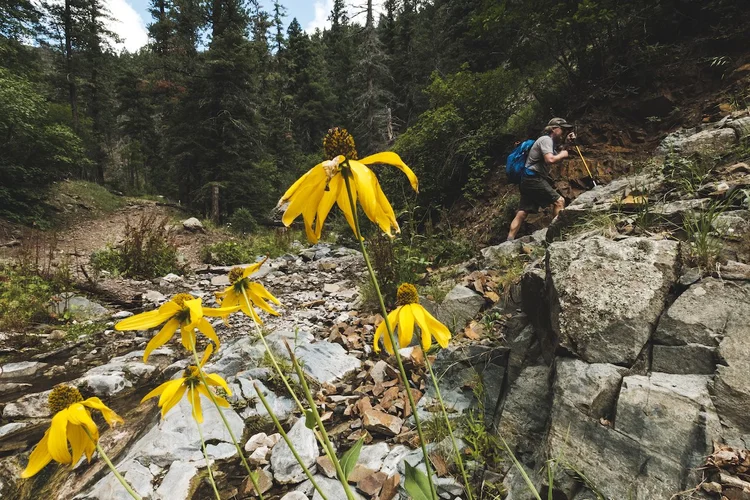 2025 Best 10 Trails and Hikes in Ruidoso by AllTrails — DiscoverRUIDOSO ...