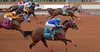 Ruidoso Downs Horse Racing — DiscoverRUIDOSO.com | Travel Information ...