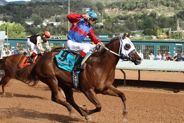 All American Futurity: The World's Richest Quarter Horse Race - [LIVE ...