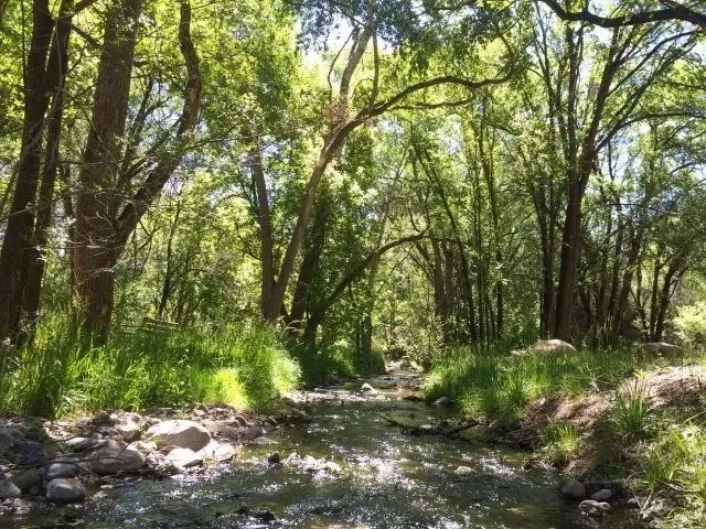 Riverview RV Park Ruidoso — DiscoverRUIDOSO.com | Official Tourism ...