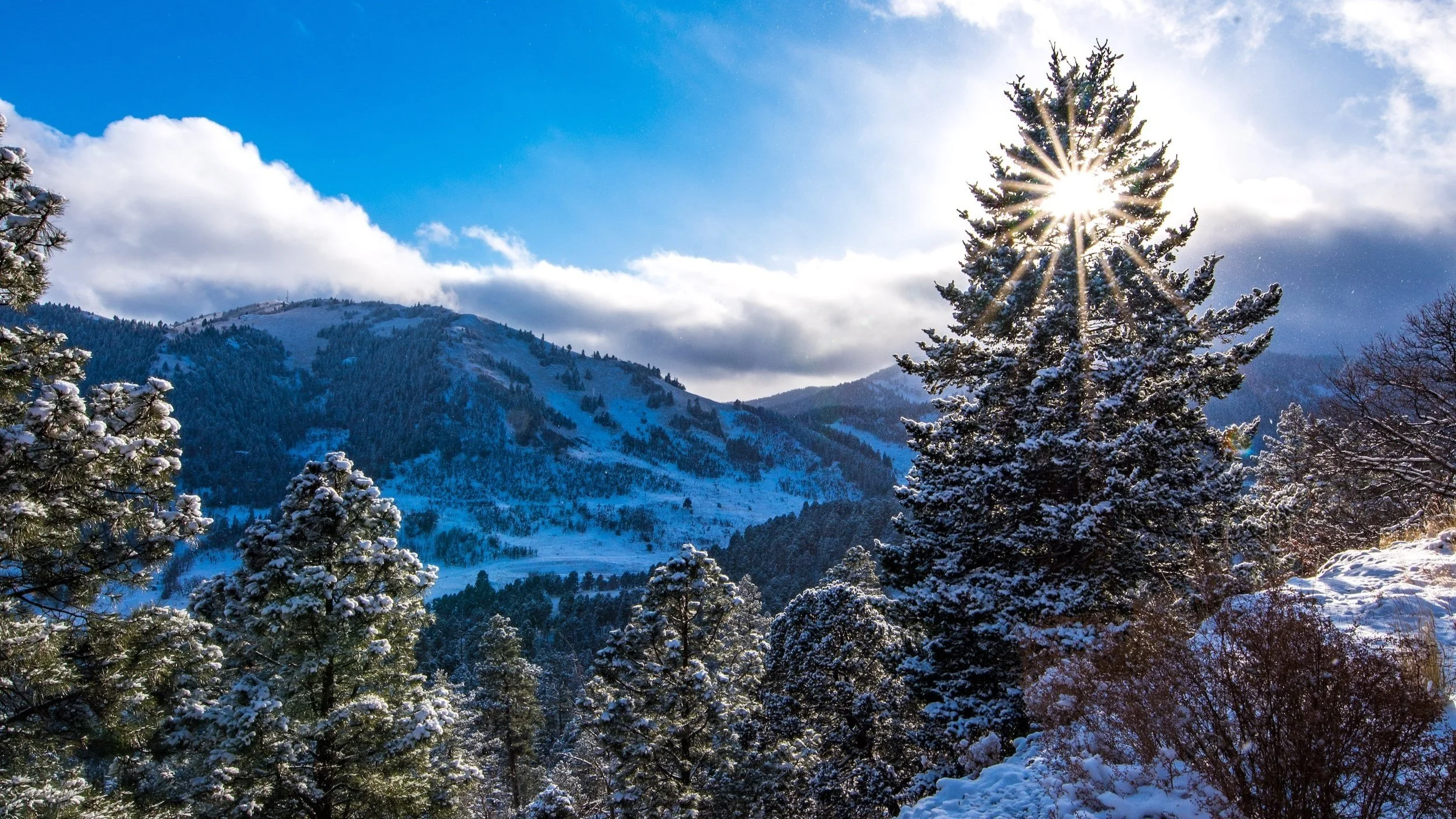 DiscoverRUIDOSO.com | Travel Information for Ruidoso, New Mexico