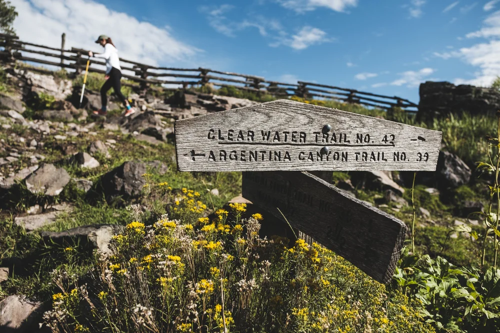 Ruidoso Wildflower Guide — DiscoverRUIDOSO.com | Official Tourism ...