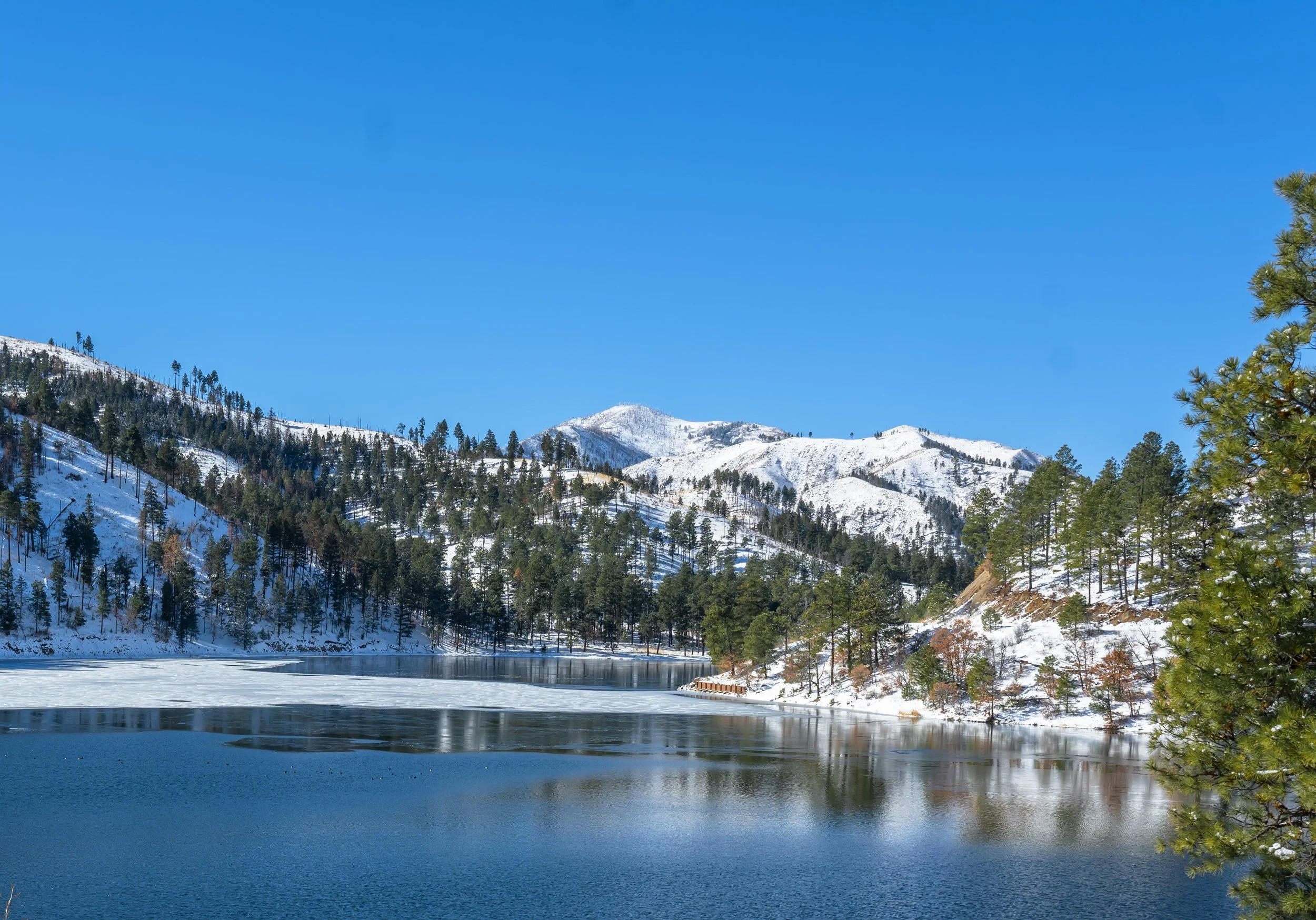 Winter in Ruidoso: Snowy Adventures, Cozy Cabins and Mountain Magic ...