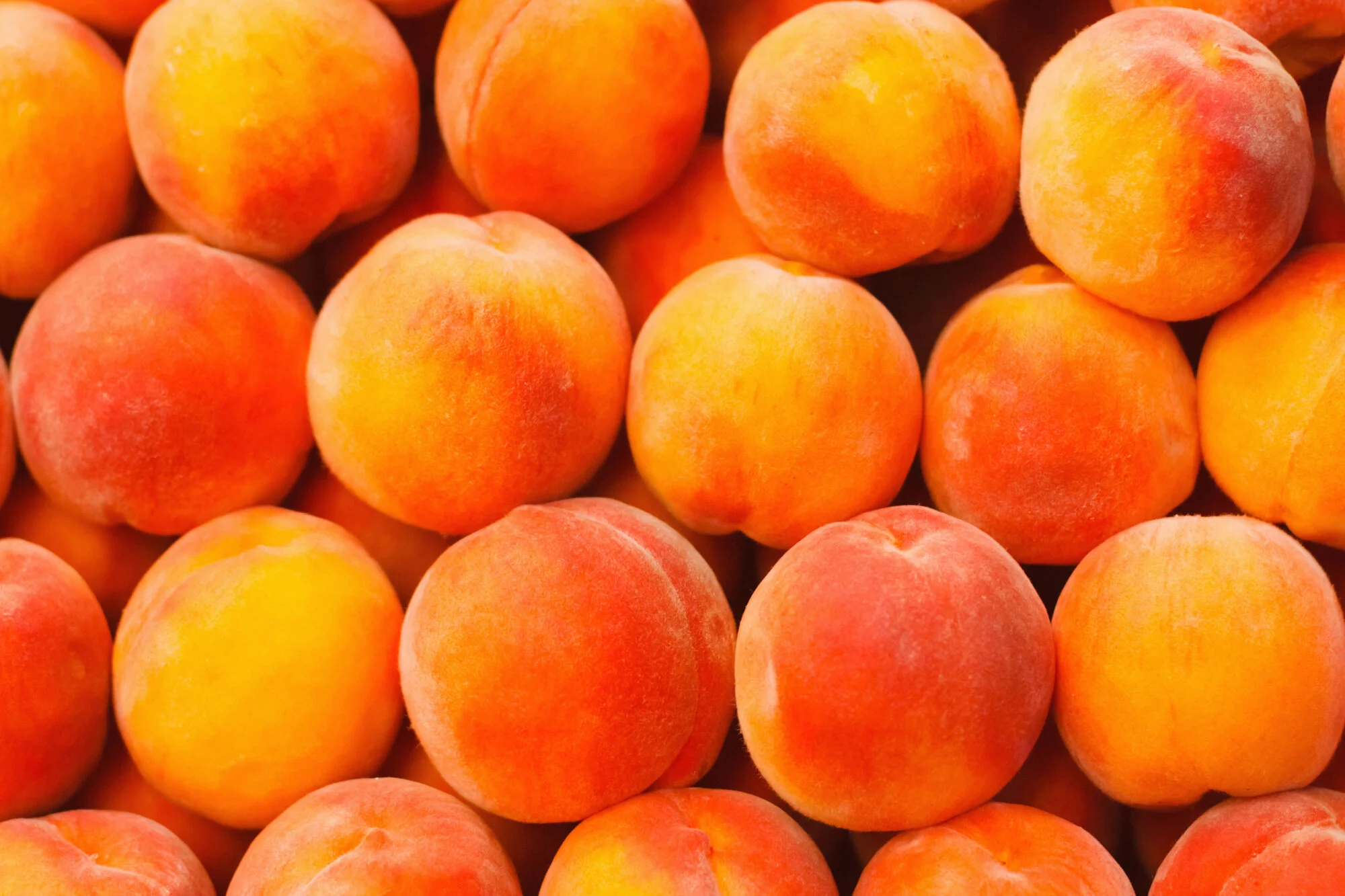 Peach Vodka Cocktails — Western Son Distillery