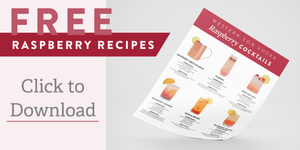 Raspberry Vodka Cocktails — Western Son Distillery