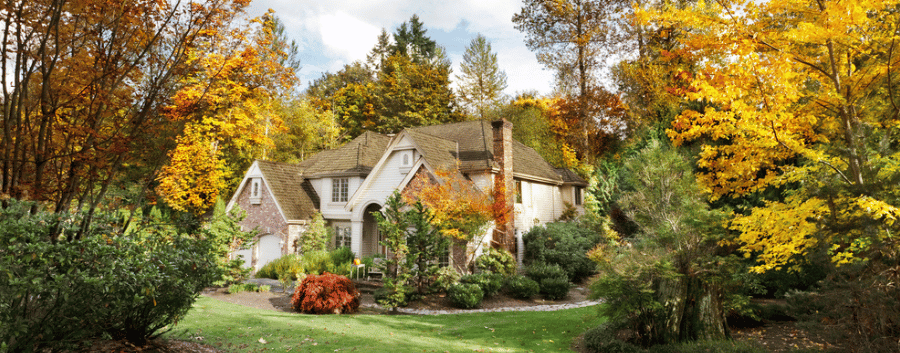 Write a 1st-Rate House Offer Letter: Template Inside