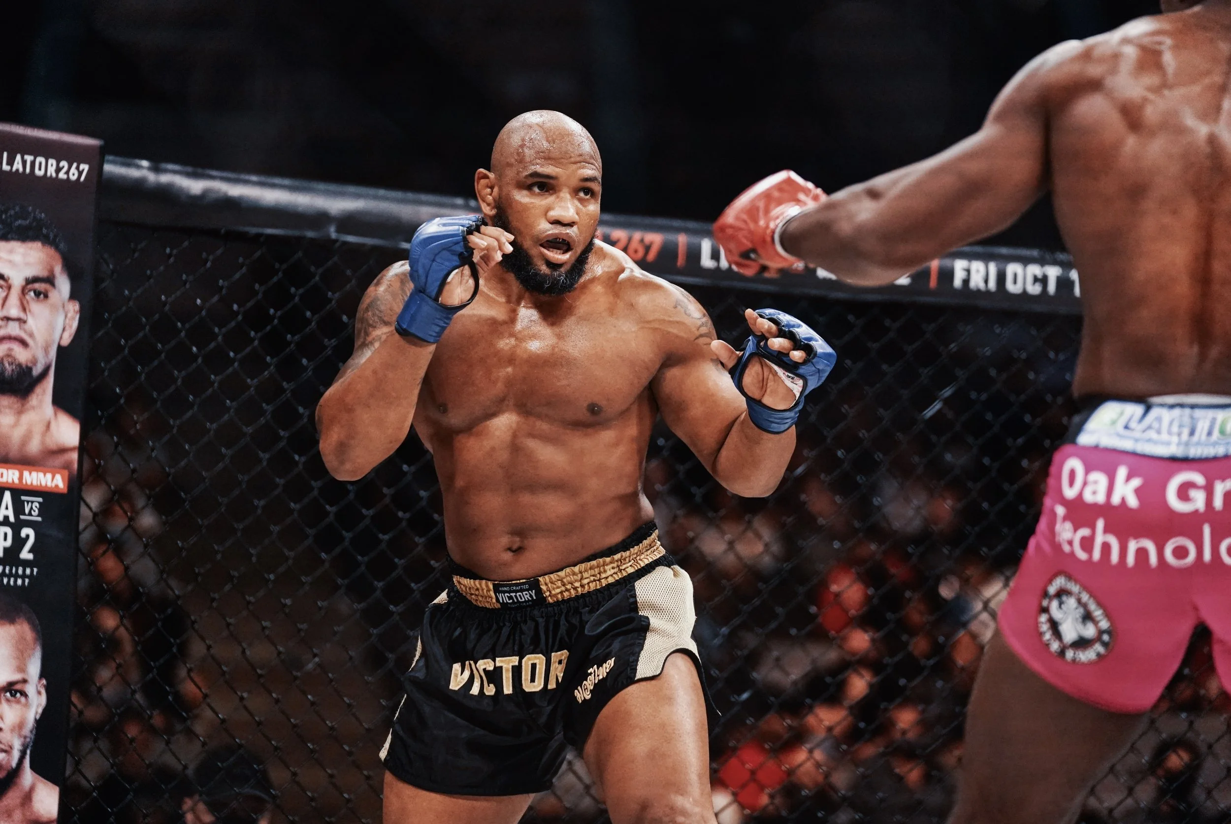 Taylor Sims Photography