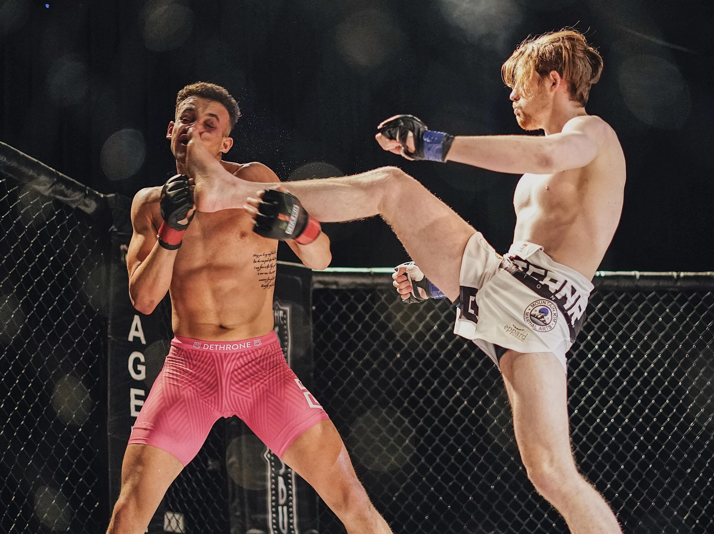 Taylor Sims Photography