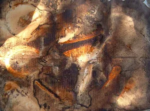 Rust Dyeing — Kimberly Baxter Packwood