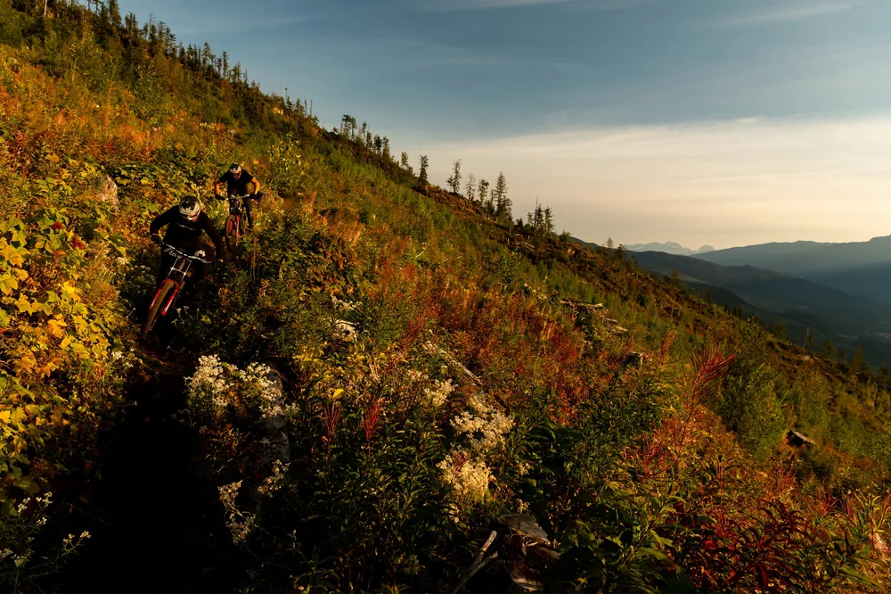 Norco | Brand Refresh — Chester Jones