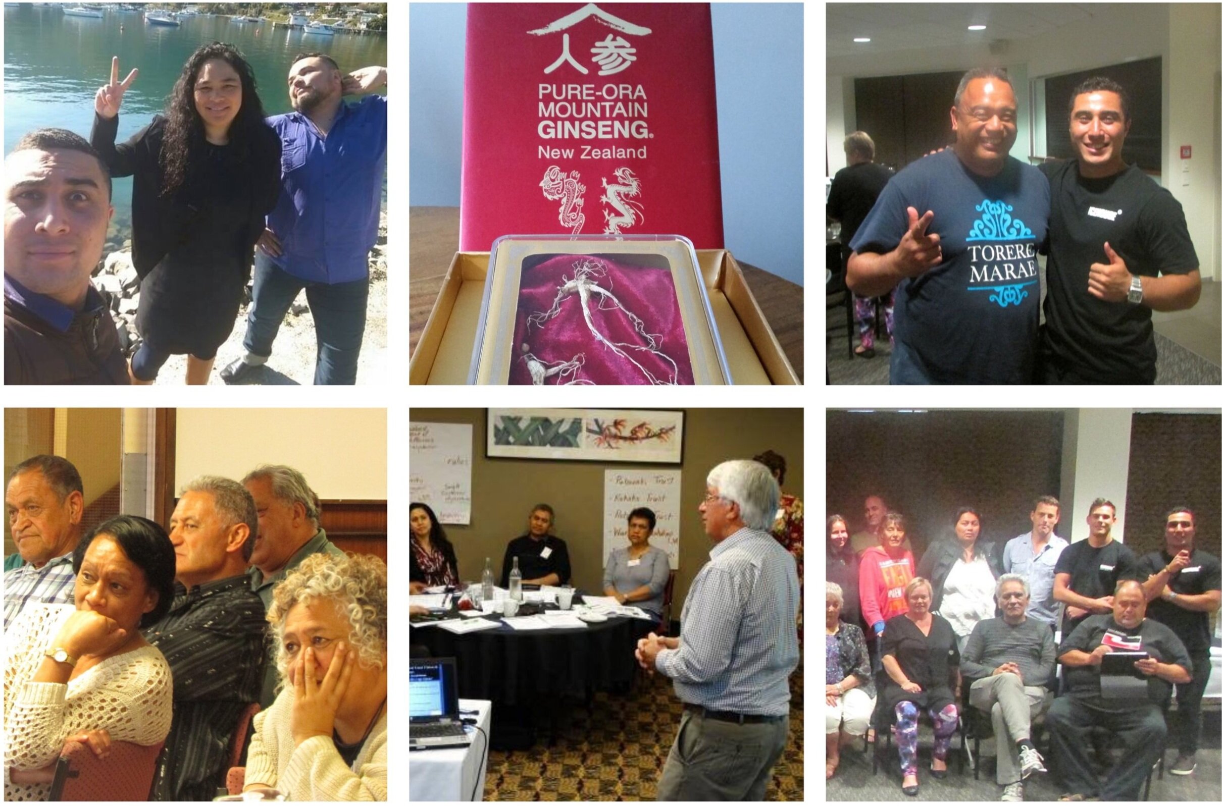 Maori Strategic Planning — Te Whare Hukahuka