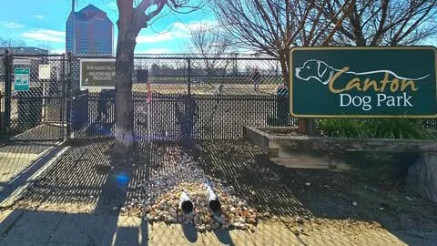 Paws & Progress: Updates on Canton Dog Park — Canton Community Association