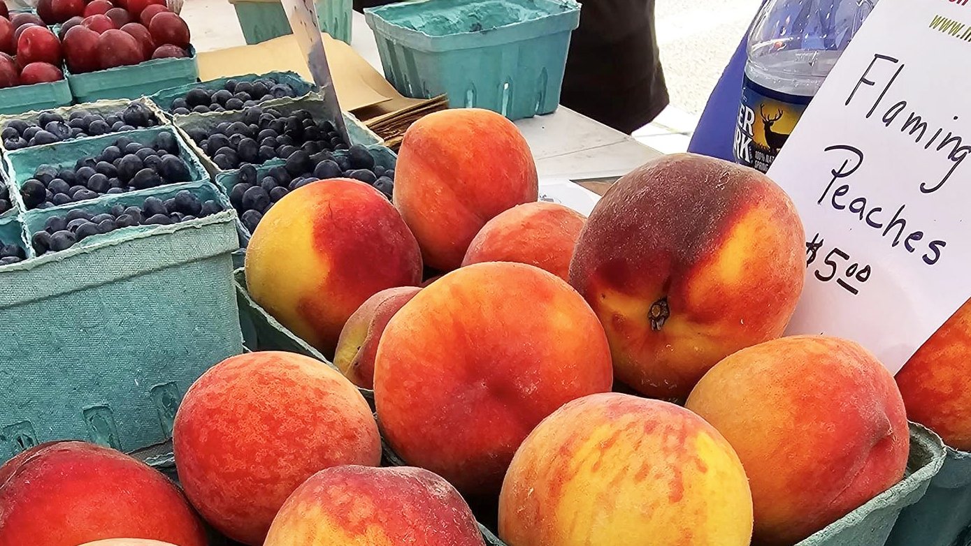 News & Notes — Canton Community Association