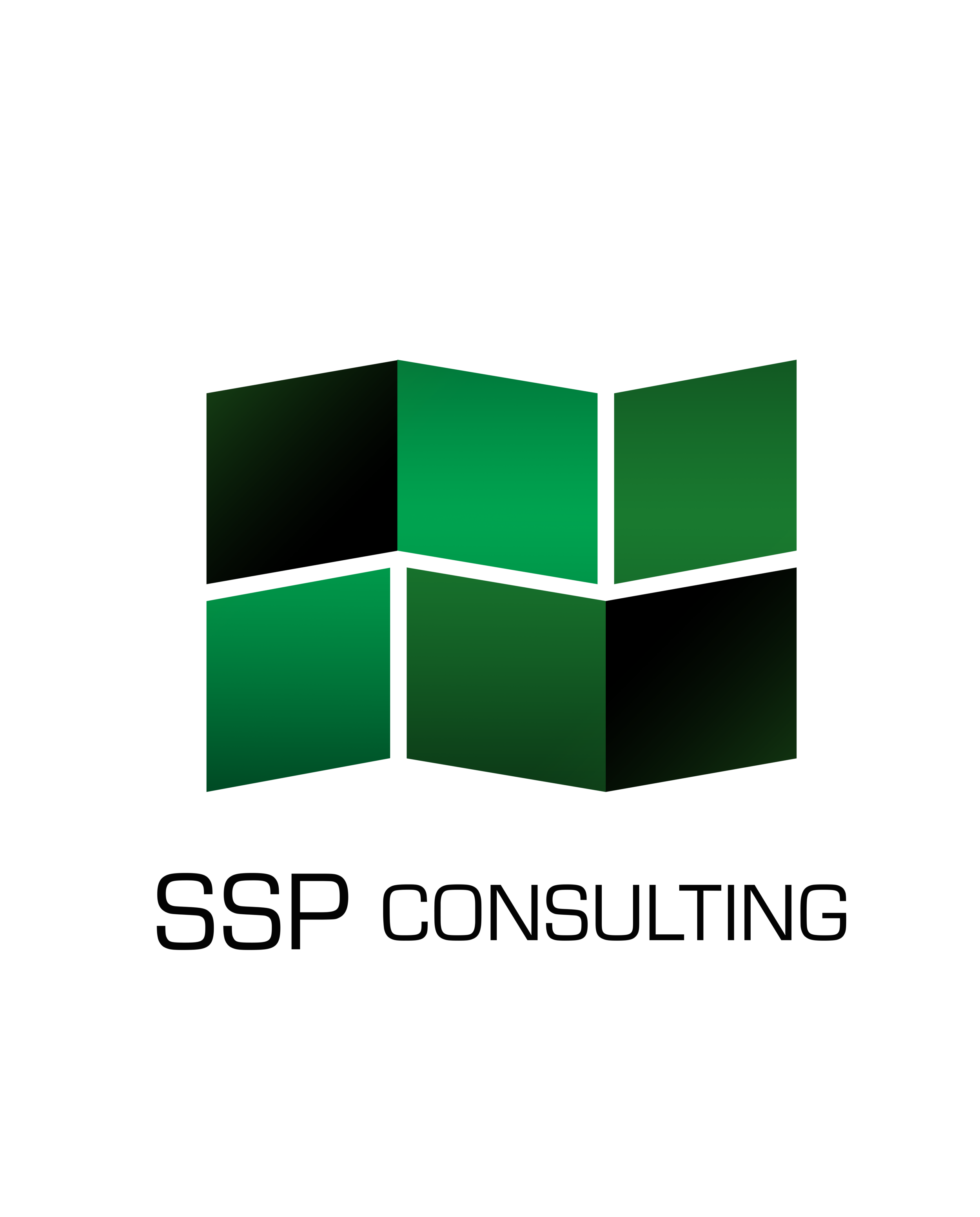 SSP Consulting