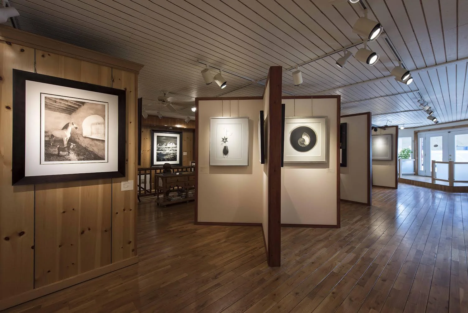 Platinum Palladium Prints — The Brookover Gallery