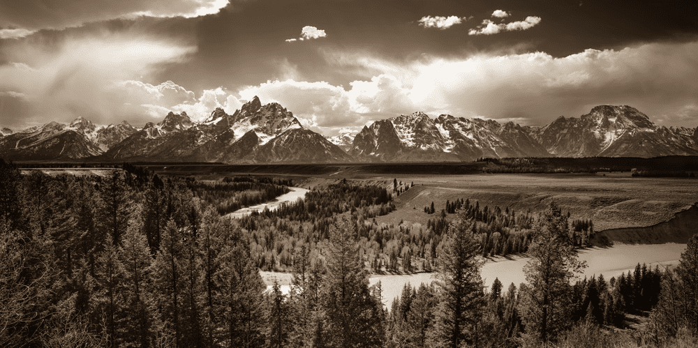 Platinum Palladium Prints — The Brookover Gallery