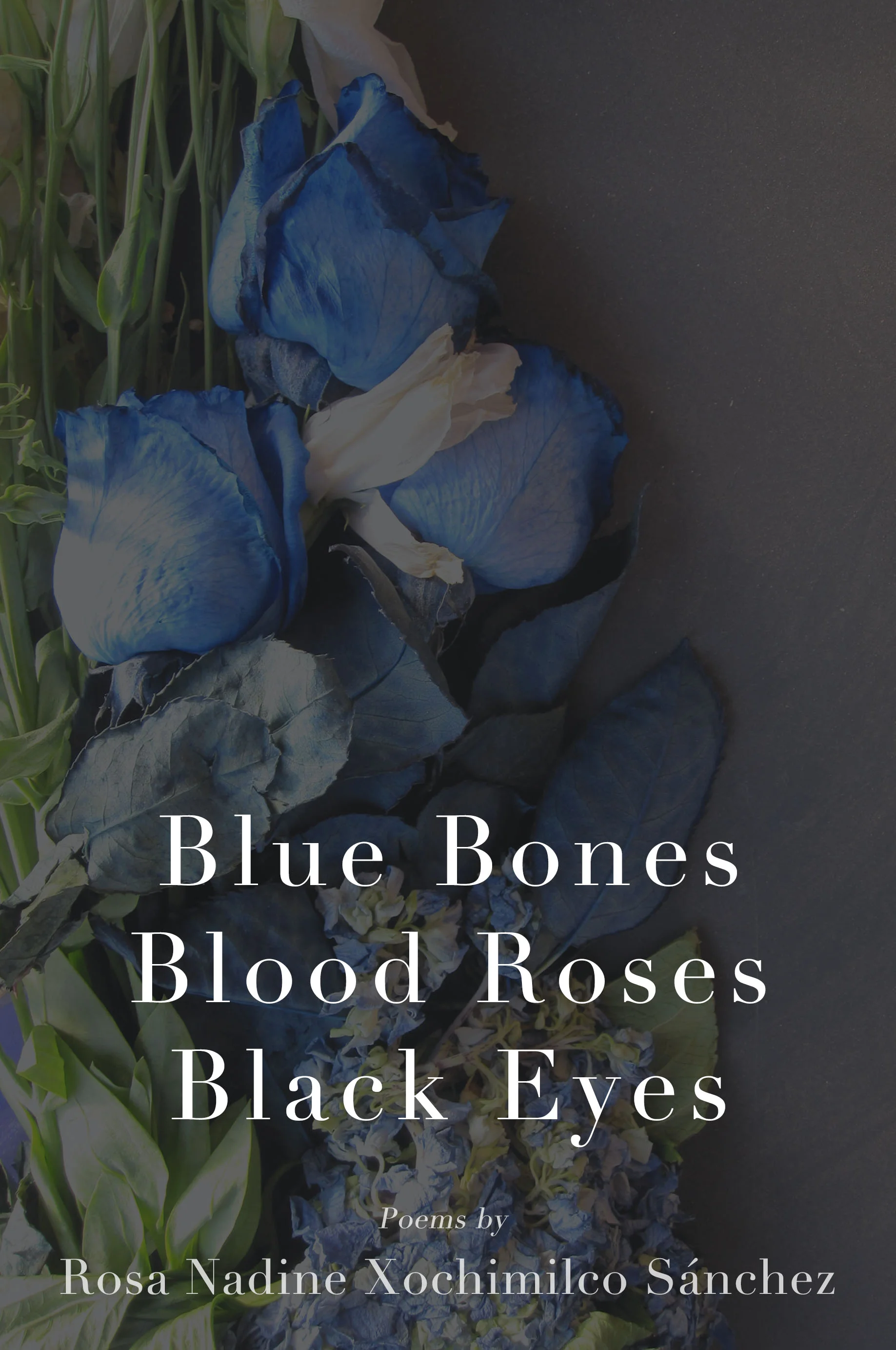 Publications — Rosa Nadine X