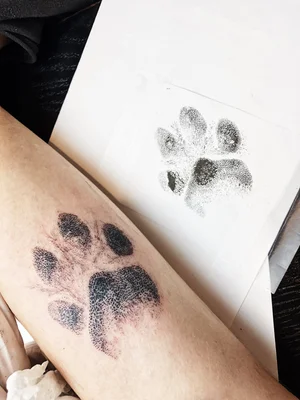 Suede Silver - TATTOO