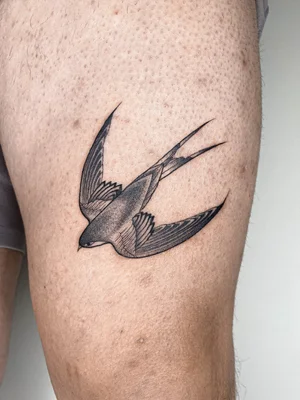 Suede Silver - TATTOO