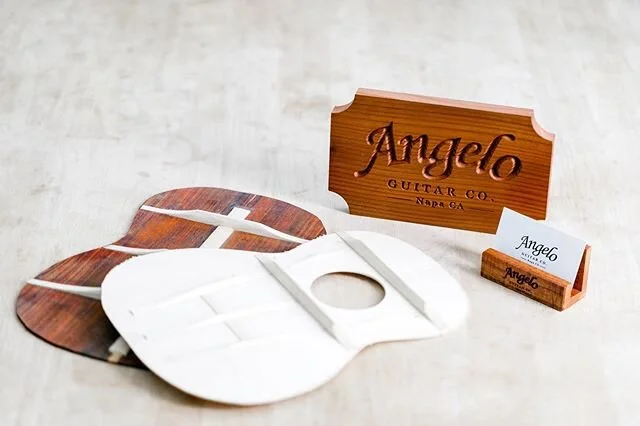 Angelo Guitar Co. — The David Ronconi Band
