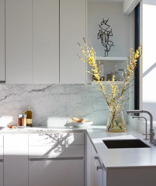 Noe Valley Home — leo cesareo design