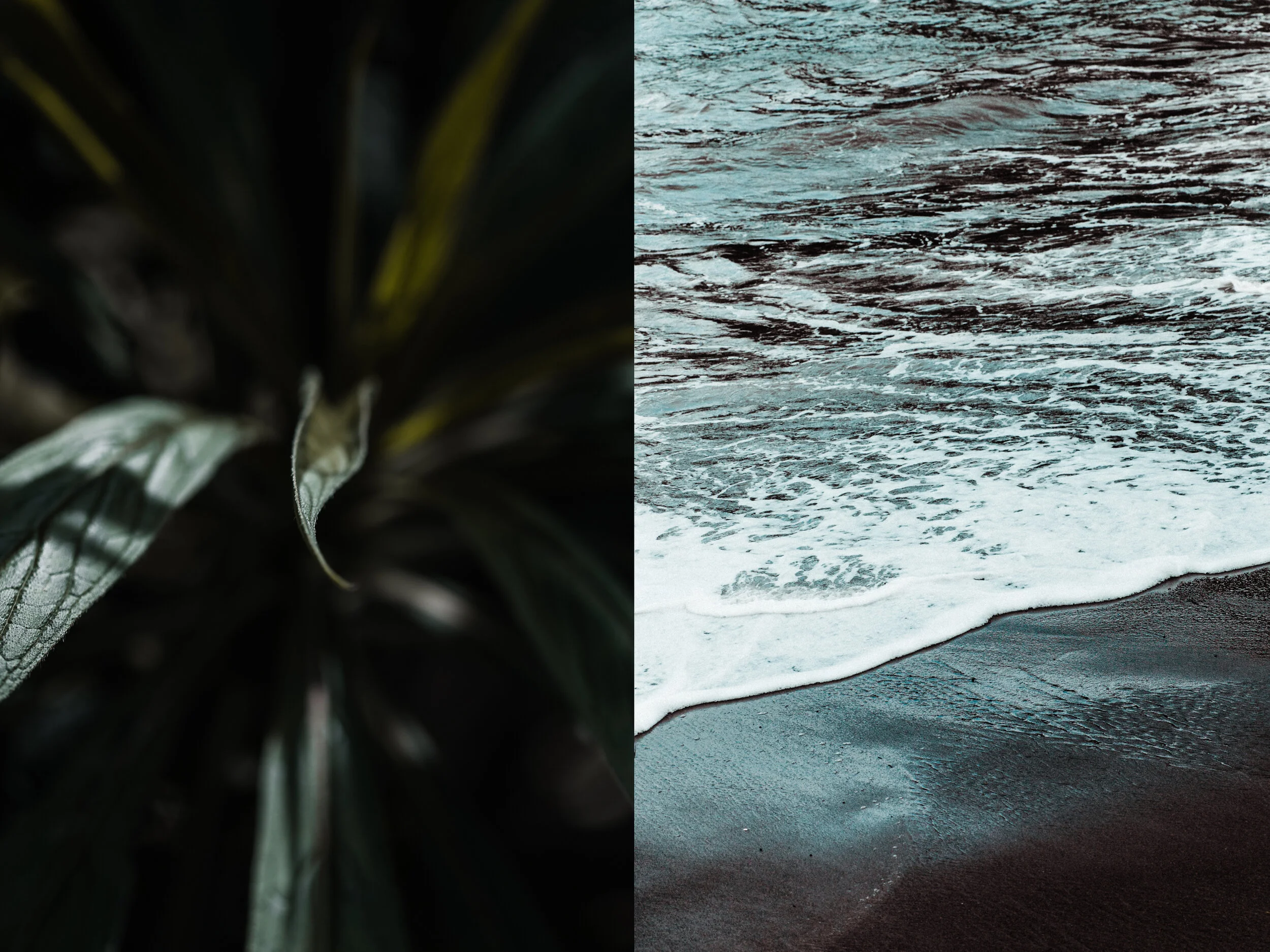 Rachel Hoile Photography | Commercial Photographer & Stylist in Devon