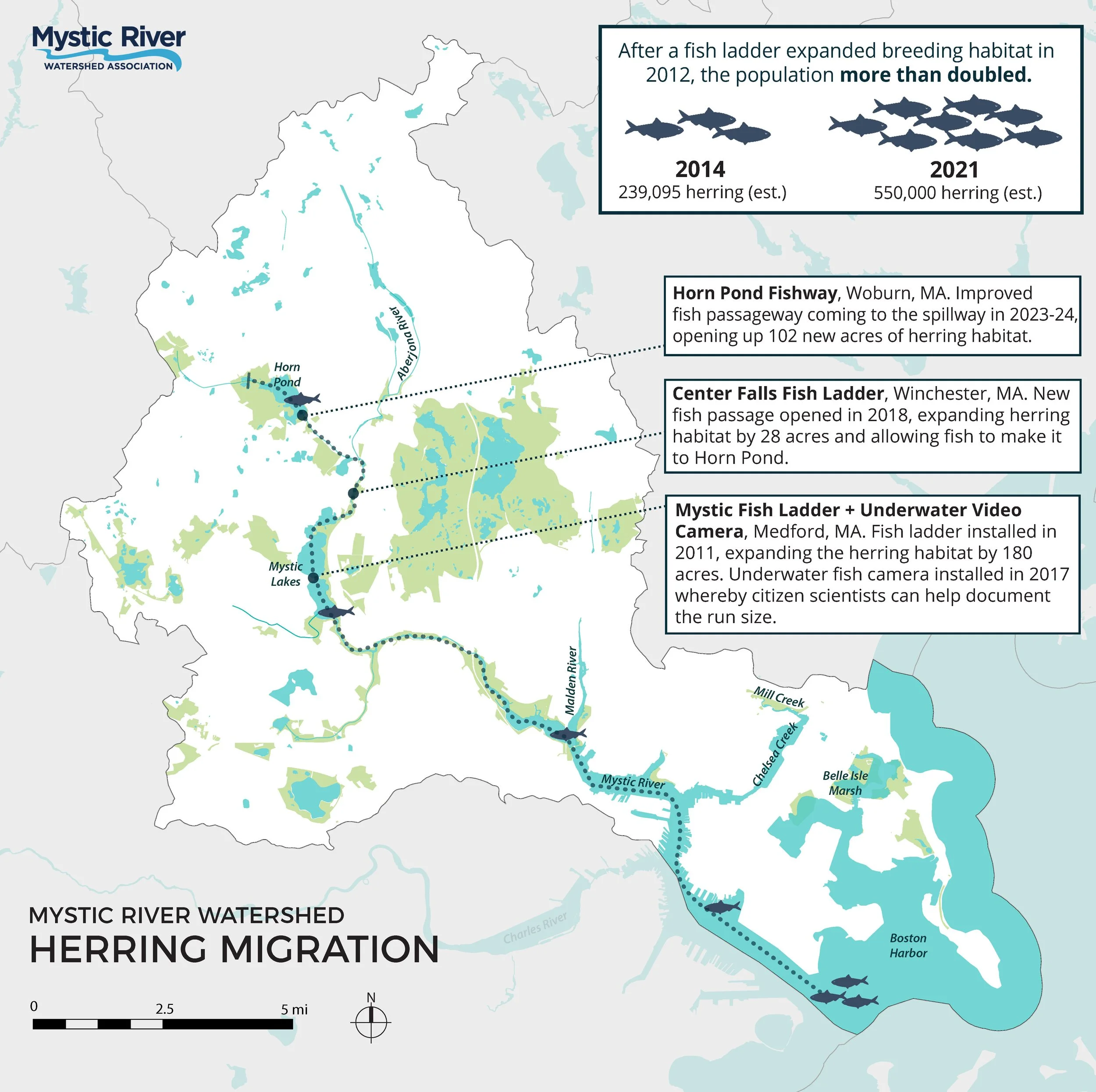 For Students — Mystic River Herring