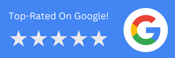 Dog Daycare, Boarding | Nyack, North Rockland, New City, NY