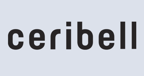 Our Clients — Countsy