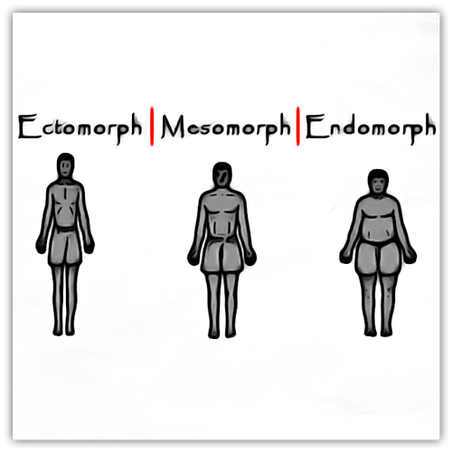 How To Change Your Somatotype — EugeneTheFit.com